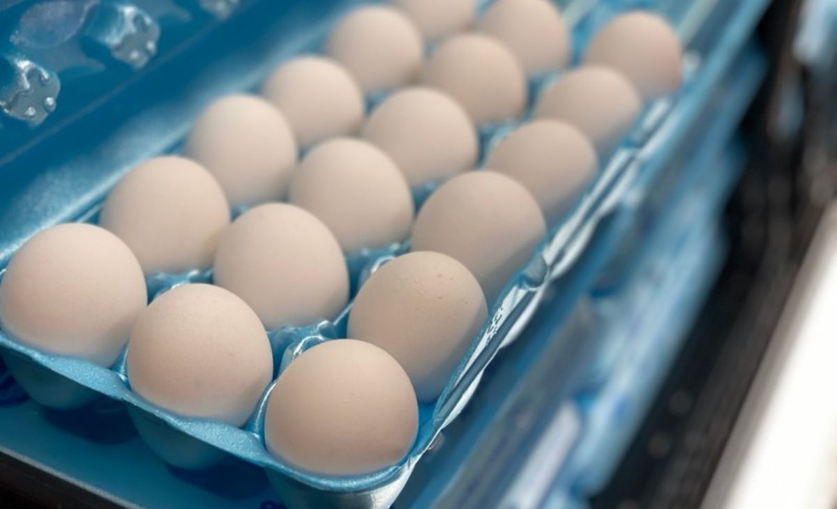 Too Many Different Types of Eggs? Here's What You Need to Know!